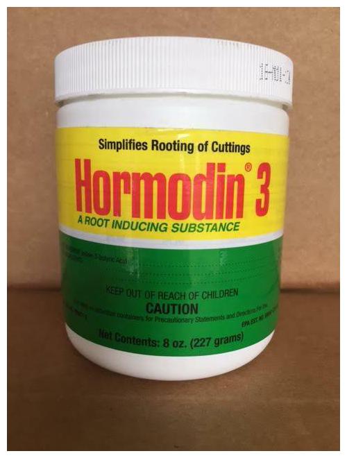 Buy Hormodin #3 Rooting Hormone (0.8% IBA) (1/2 Pound) Online at Low ...